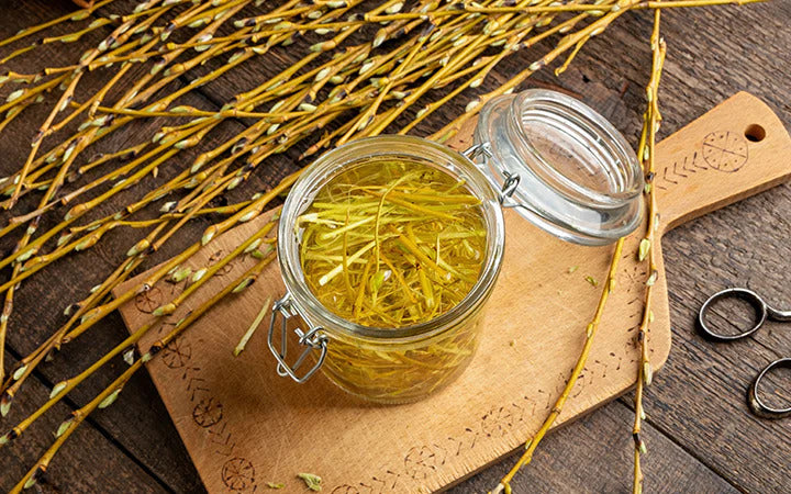 THE HEALING TOUCH OF WILLOW BARK EXTRACT ON THE SKIN – Besoulfull